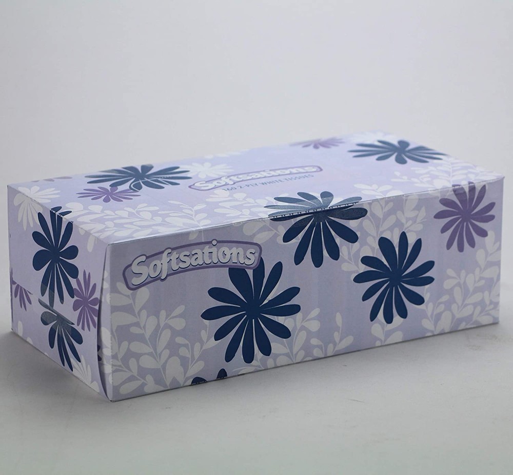 TigerChef 2-Ply Facial Tissues, 160 Tissues/Box, 6 Boxes - LionsDeal